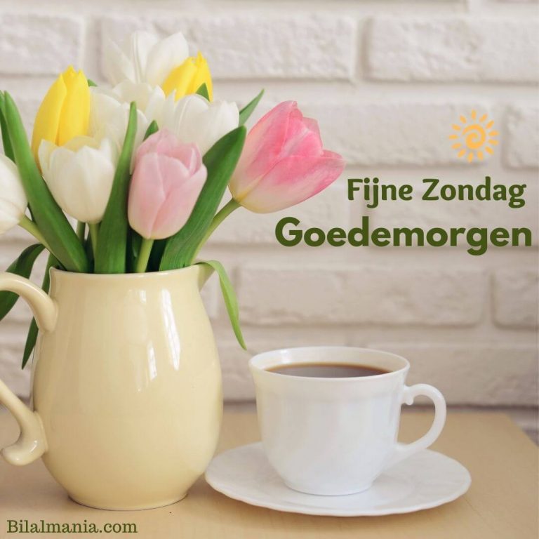 🔥50+ Fijne Zondag afbeeldingen en Wensen (2025)