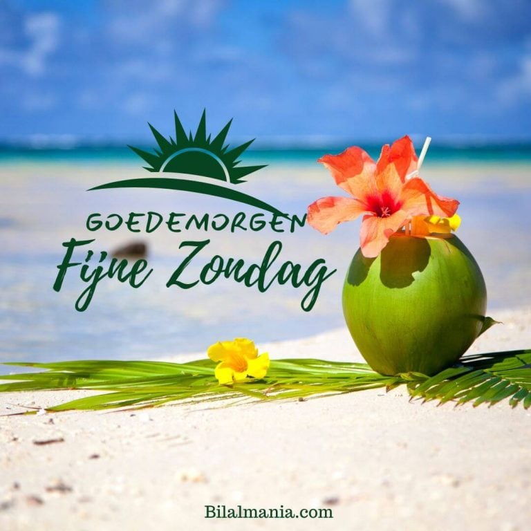 🔥50+ Fijne Zondag afbeeldingen en Wensen (2025)