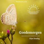 🔥50+ Fijne Zondag afbeeldingen en Wensen (2025)