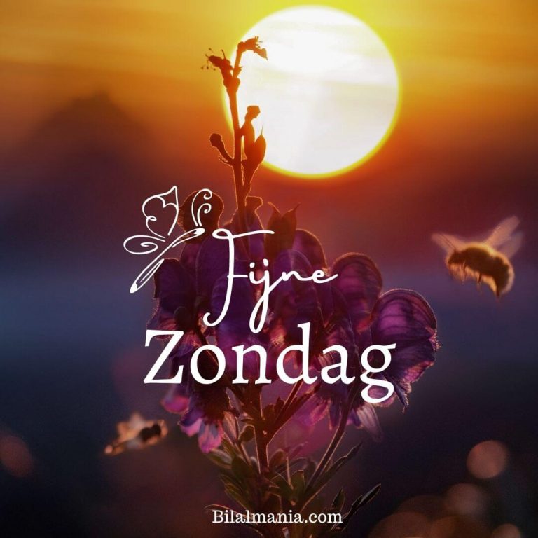 🔥50+ Fijne Zondag afbeeldingen en Wensen (2025)