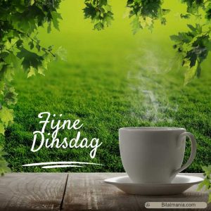🔥50+ Fijne Goedemorgen Dinsdag (2025) - Bilalmania