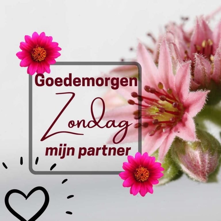 🔥 100+ Fijne Woensdag Afbeeldingen GIF (2025) - Bilalmania