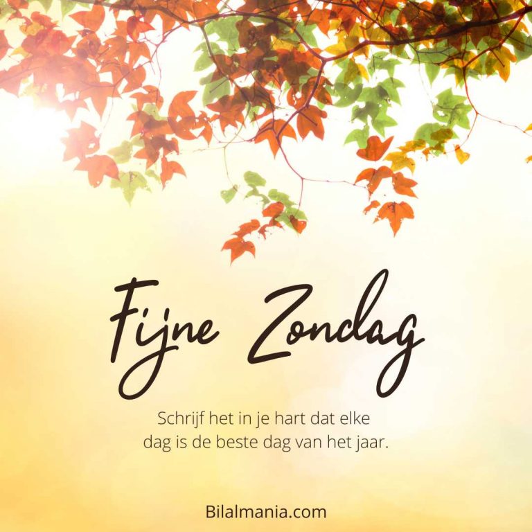 🔥50+ Fijne Zondag afbeeldingen en Wensen (2025)