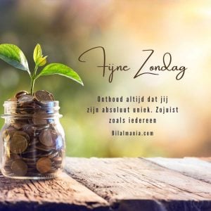 🔥50+ Fijne Zondag afbeeldingen en Wensen (2025)