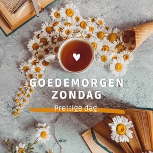 🔥50+ Fijne Zondag afbeeldingen en Wensen (2025)