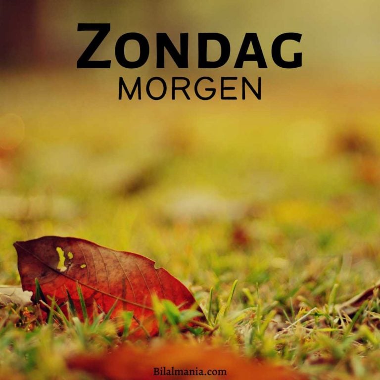 🔥50+ Fijne Zondag afbeeldingen en Wensen (2025)