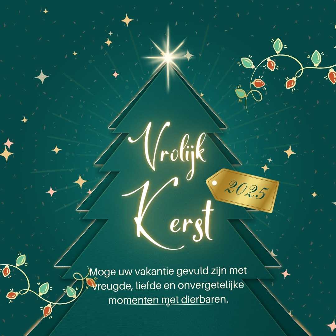 150+ Prettige Kerst en nieuwjaarswensen 2025 - Bilalmania
