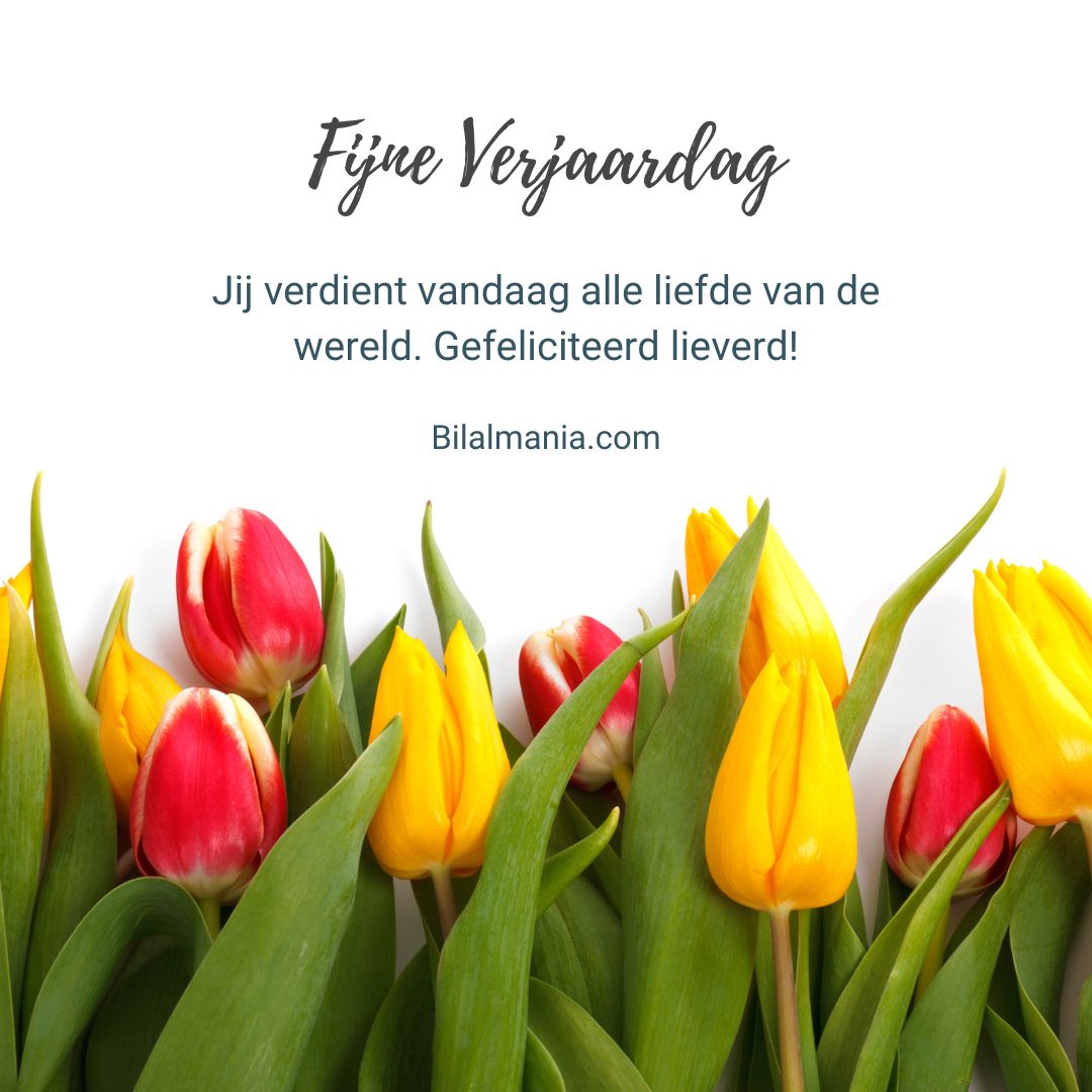 100+ Verjaardagswensen Vrouw – Lief, Grappig & Origineel